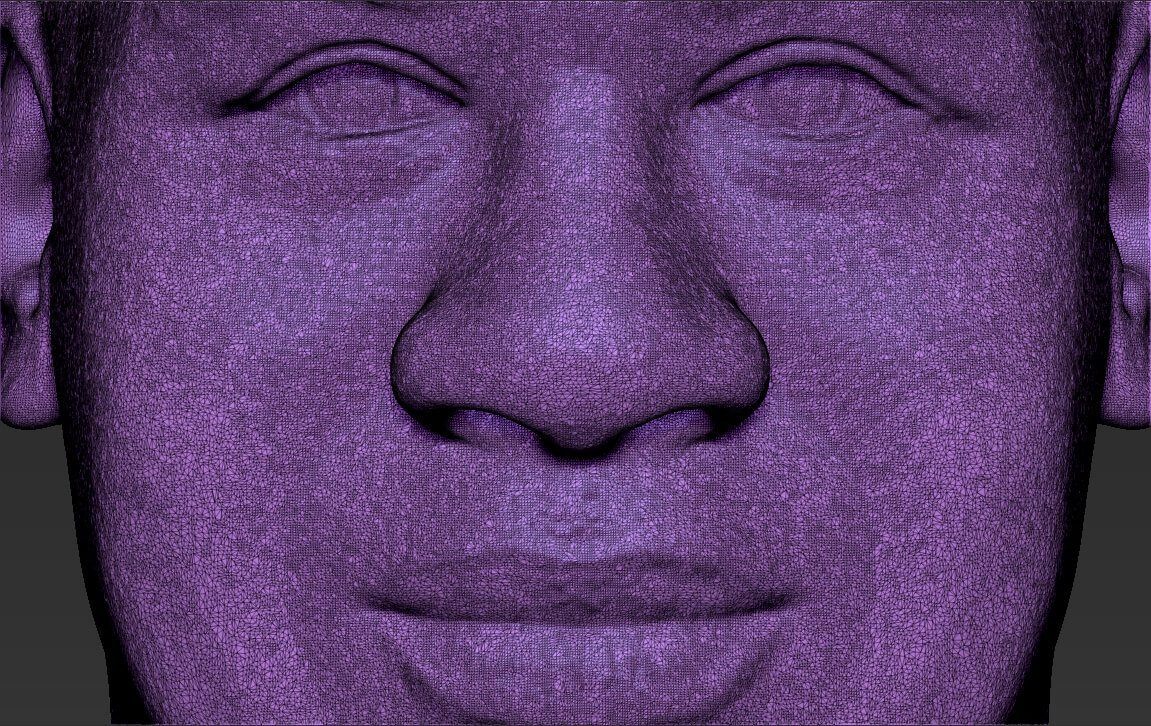 Magic Johnson Bust - 3D Model by PrintedReality