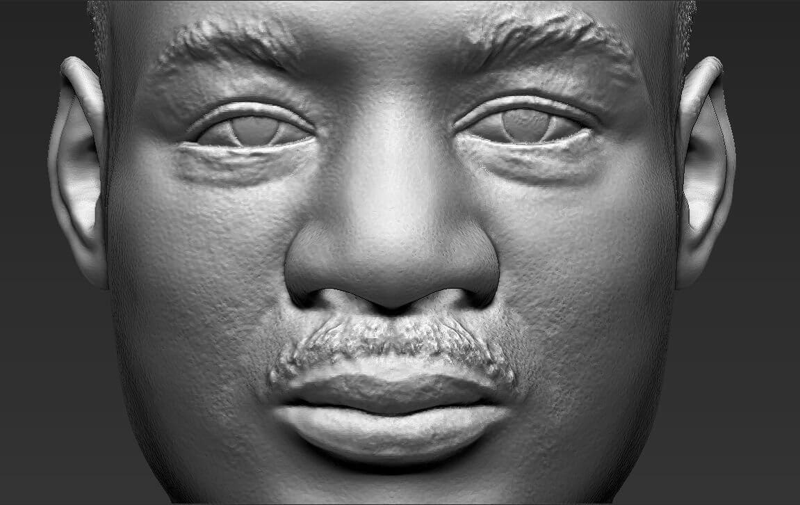 Martin Luther King Jr. Bust - 3D Model by PrintedReality