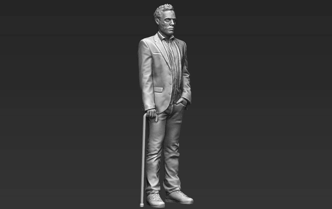 MD Gregory House - 3D Model by PrintedReality