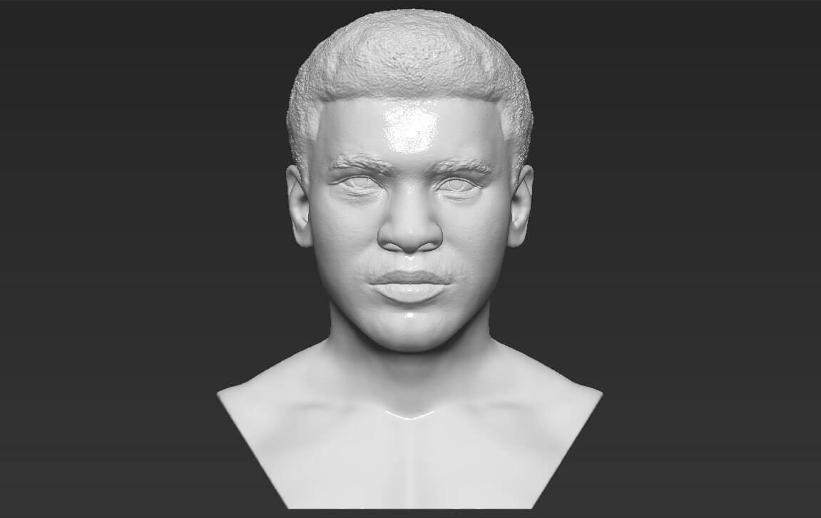 Muhammad Ali Bust - 3D Print Model by PrintedReality