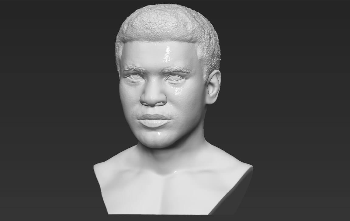 Muhammad Ali Bust - 3D Model by PrintedReality