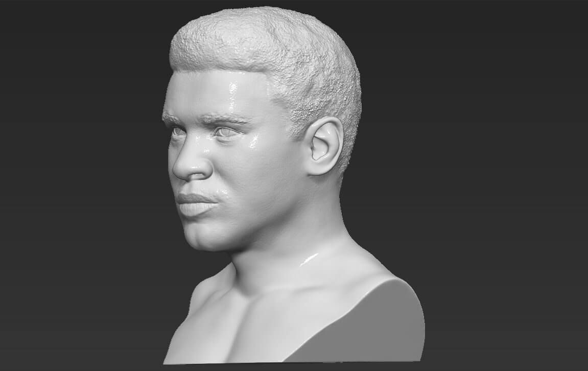 Muhammad Ali Bust - 3D Model by PrintedReality