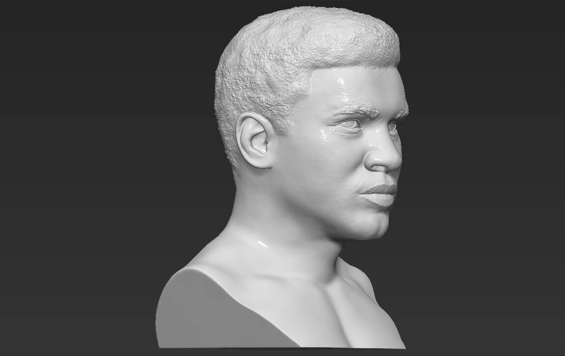 Muhammad Ali Bust - 3D Model by PrintedReality