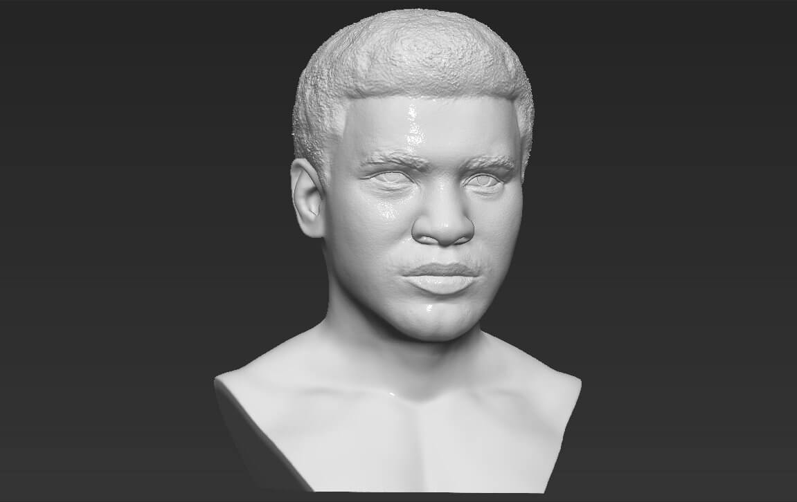 Muhammad Ali Bust - 3D Model by PrintedReality