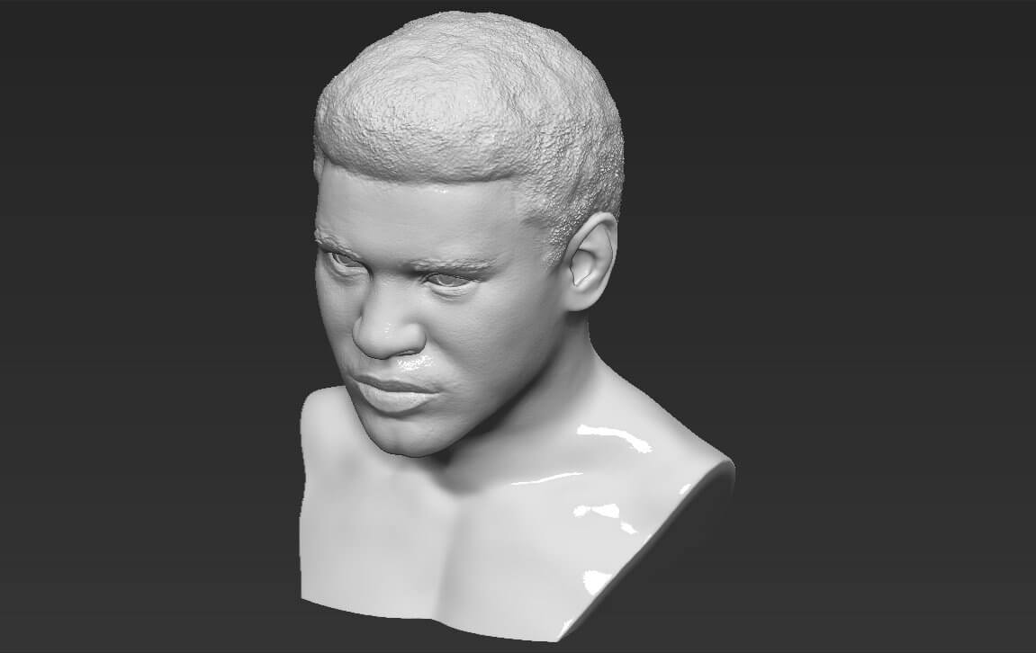 Muhammad Ali Bust - 3D Model by PrintedReality