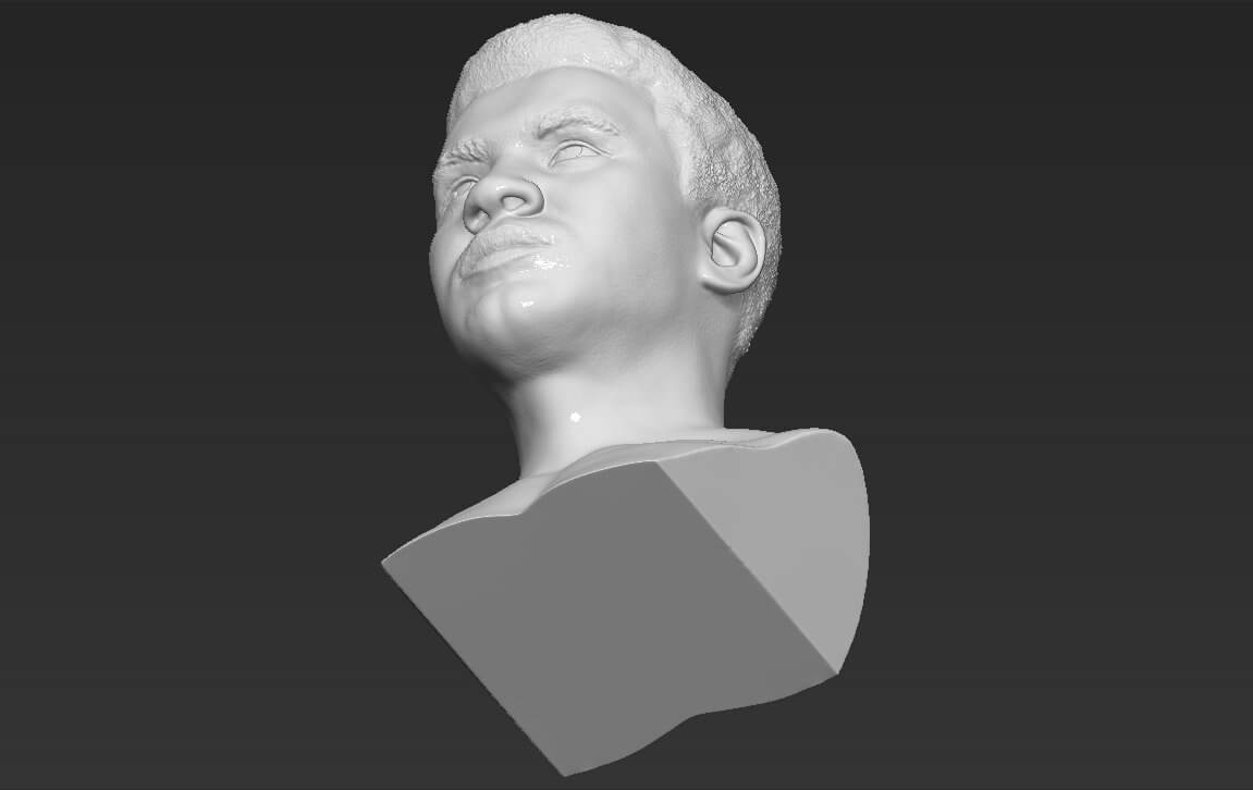 Muhammad Ali Bust - 3D Model by PrintedReality
