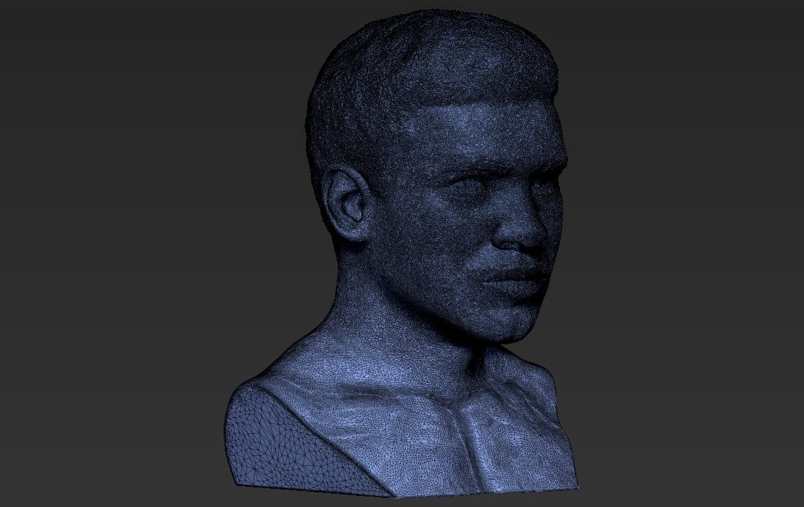 Muhammad Ali Bust - 3D Model by PrintedReality