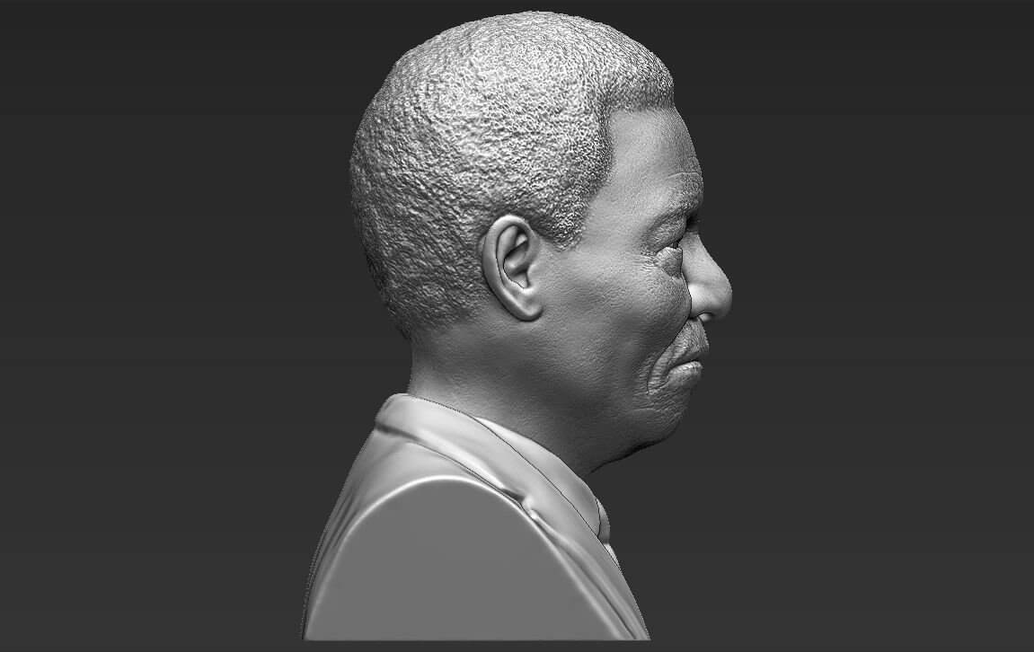 Nelson Mandela Bust (Full Color) - 3D Model by PrintedReality