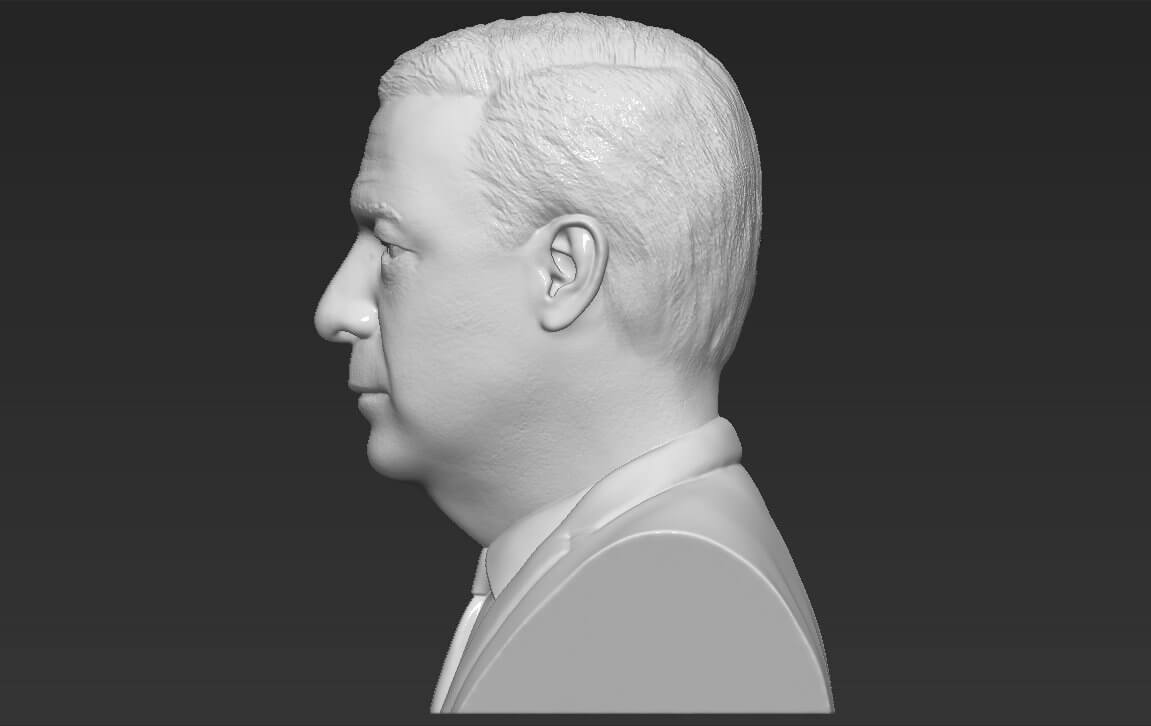 Nigel Farage Bust - 3D Model by PrintedReality