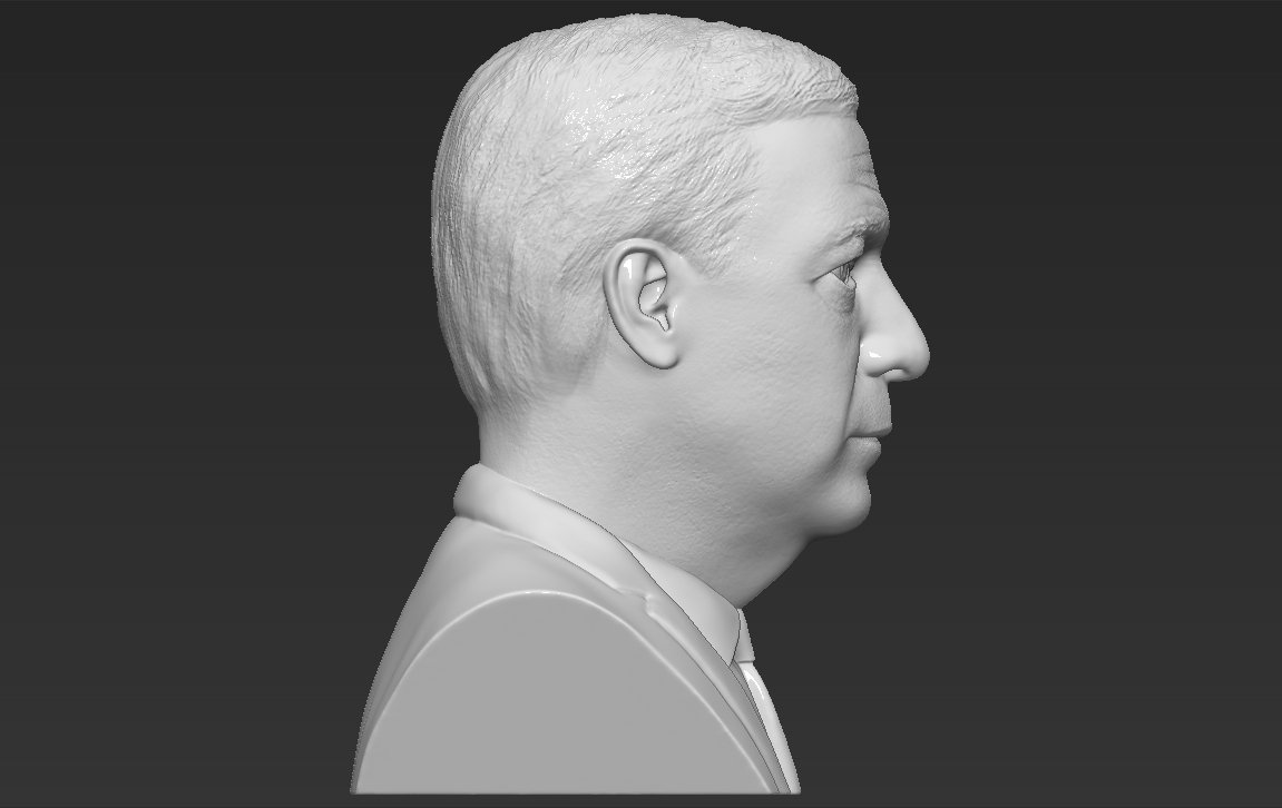 Nigel Farage Bust - 3D Model by PrintedReality