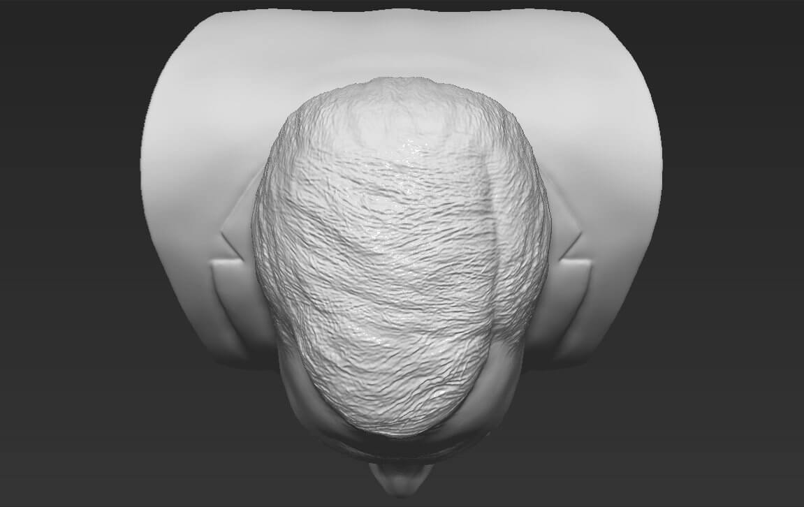 Nigel Farage Bust - 3D Model by PrintedReality