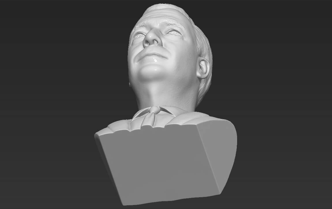 Nigel Farage Bust - 3D Model by PrintedReality