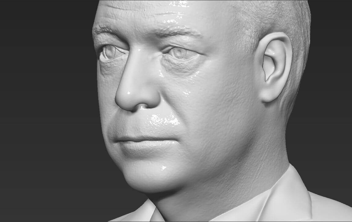 Nigel Farage Bust - 3D Model by PrintedReality