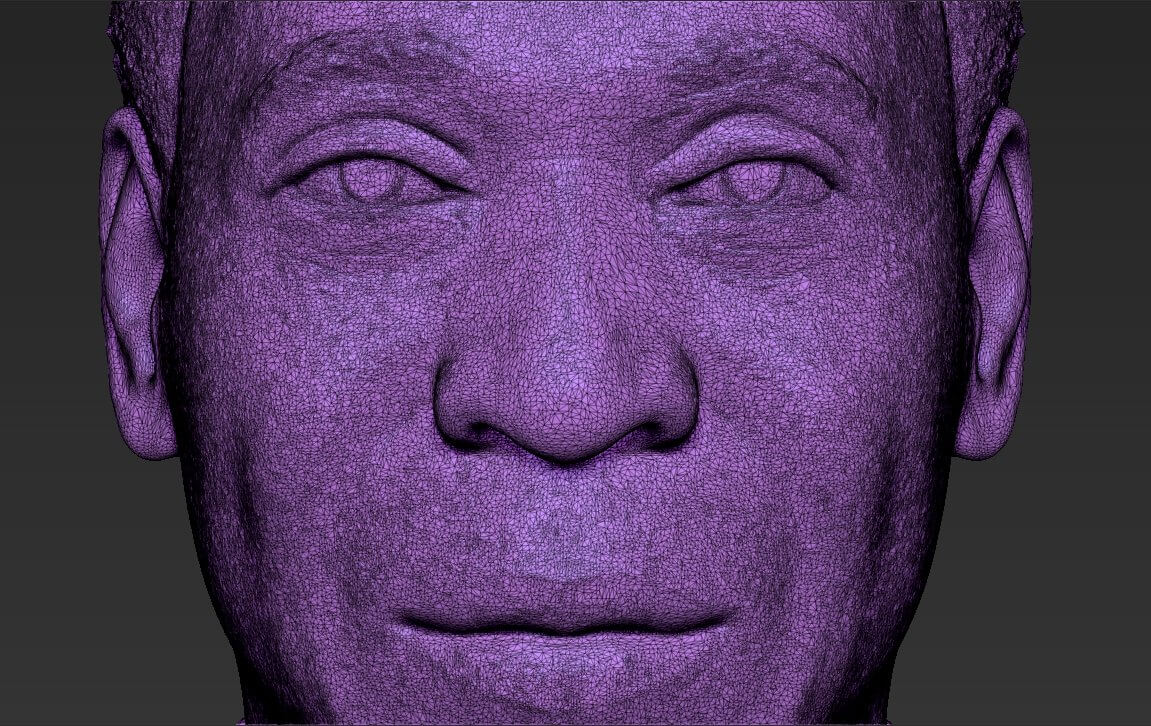 Pele Bust - 3D Model by PrintedReality