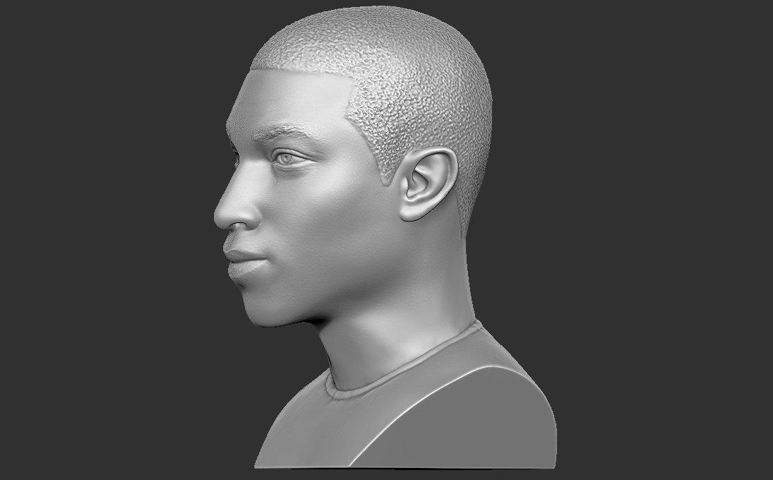 Pharrell Williams Bust - 3D Model by PrintedReality