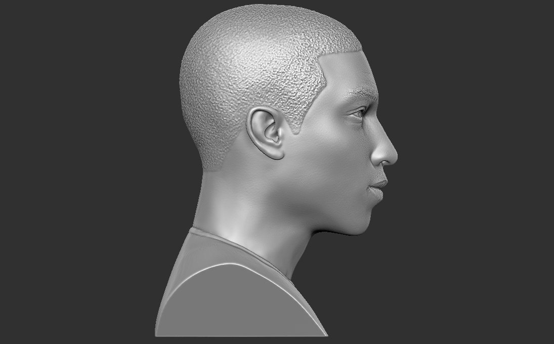 Pharrell Williams Bust - 3D Model by PrintedReality