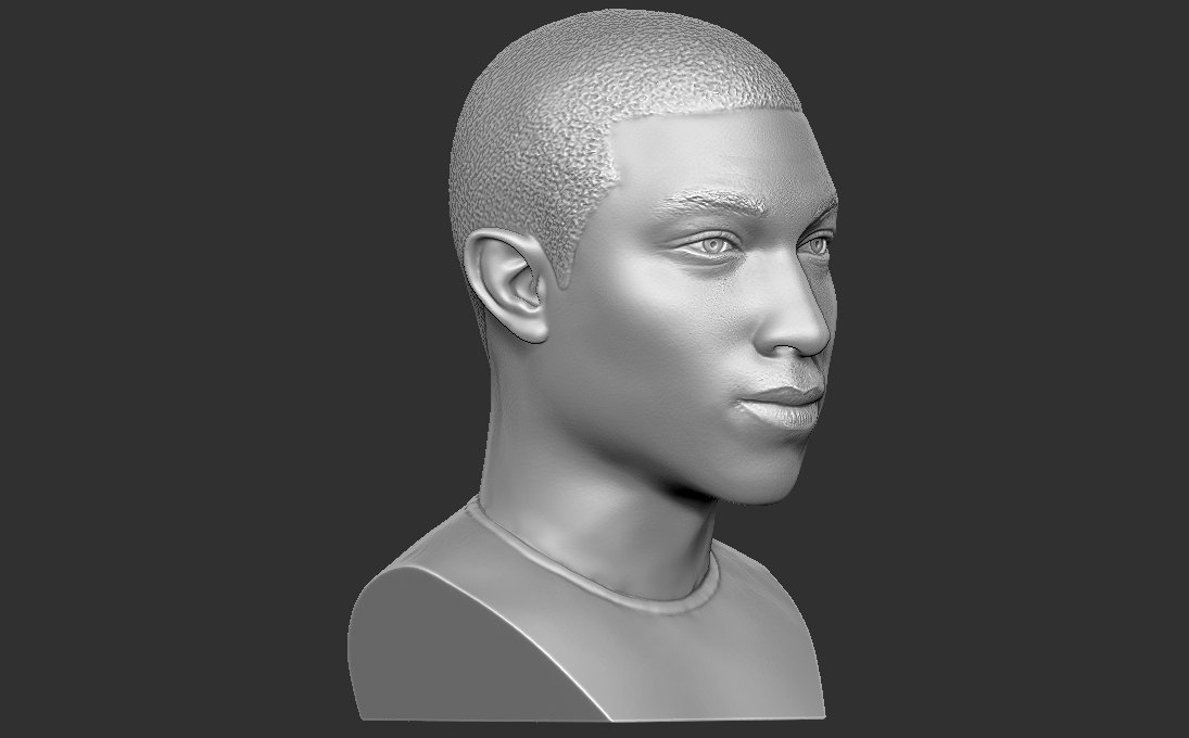 Pharrell Williams Bust - 3D Model by PrintedReality