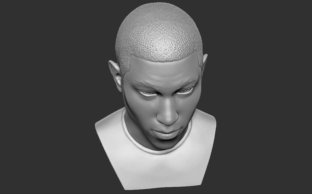 Pharrell Williams Bust - 3D Model by PrintedReality