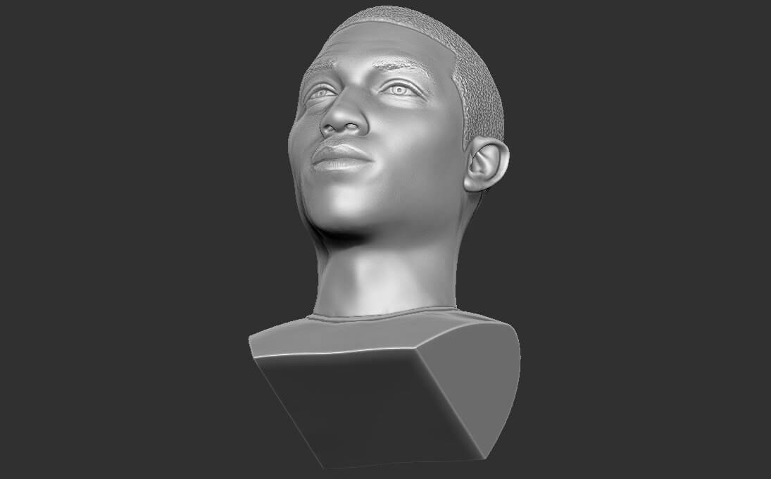 Pharrell Williams Bust - 3D Model by PrintedReality