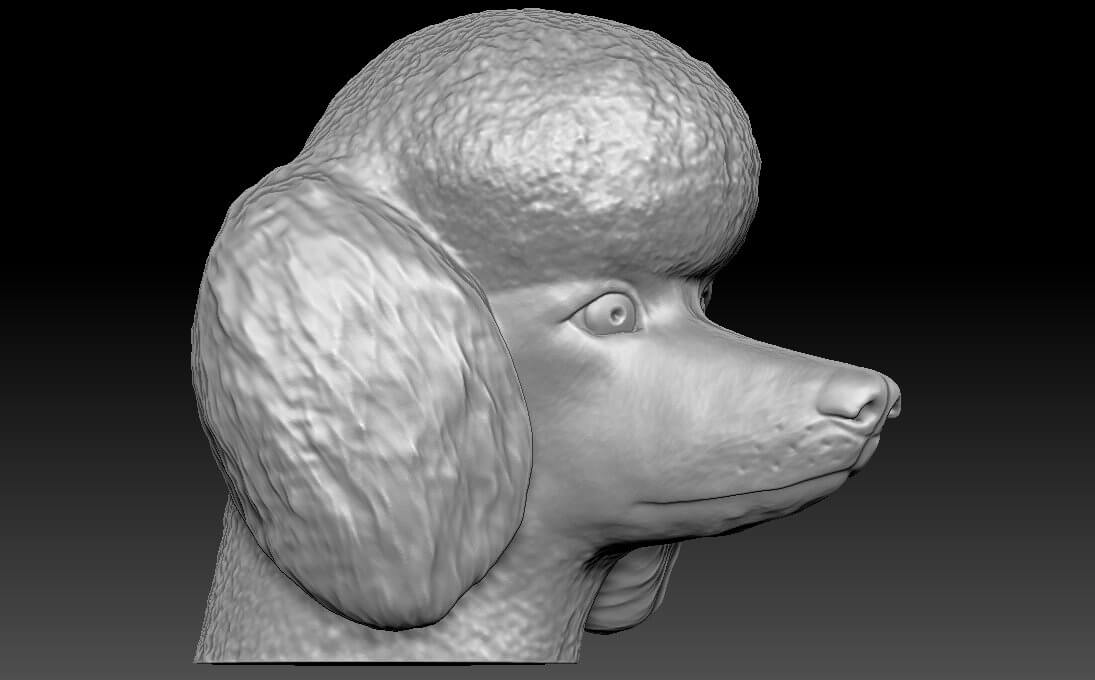 Poodle Head - 3D Model by PrintedReality