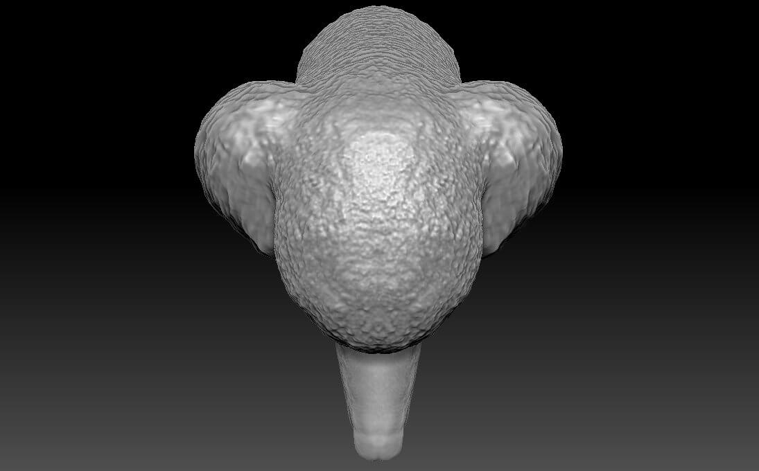 Poodle Head - 3D Model by PrintedReality