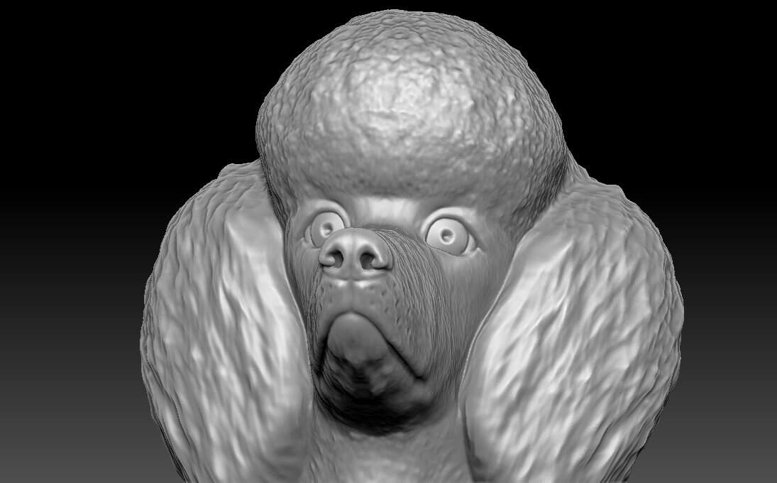 Poodle Head - 3D Model by PrintedReality