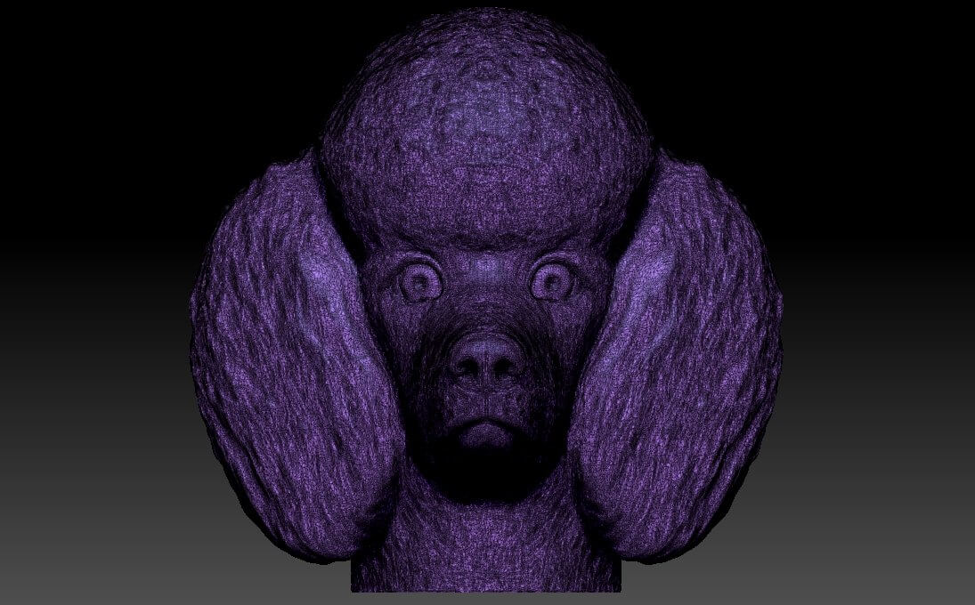 Poodle Head - 3D Print Model by PrintedReality
