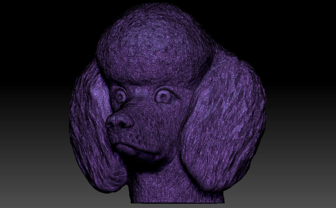 Poodle Head - 3D Model by PrintedReality
