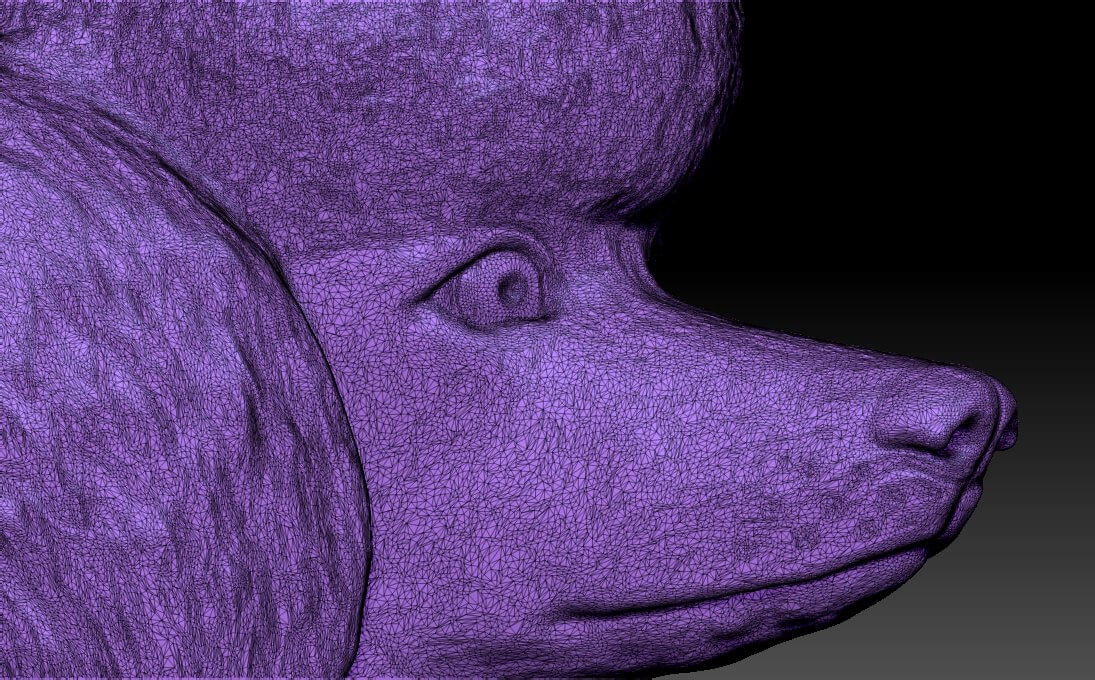 Poodle Head - 3D Model by PrintedReality