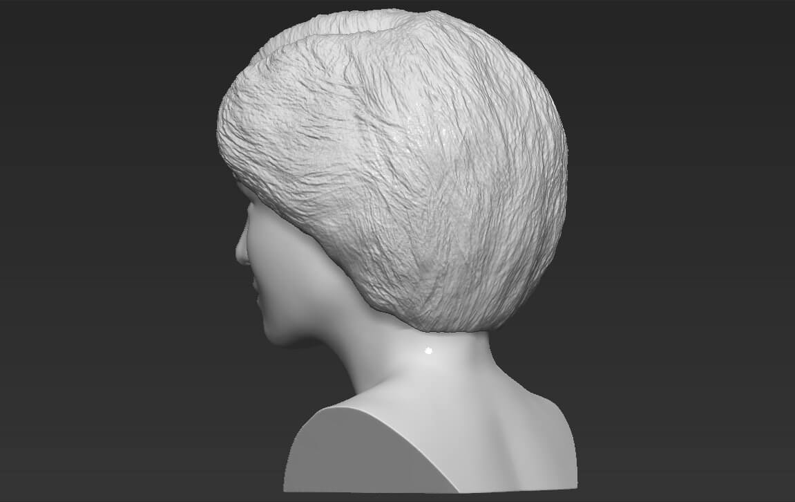 Princess Diana Bust - 3D Model by PrintedReality