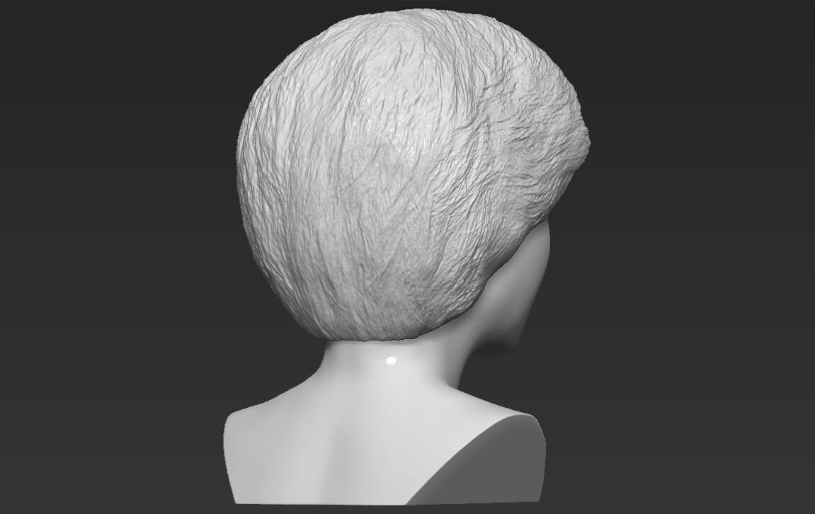 Princess Diana Bust - 3D Model by PrintedReality