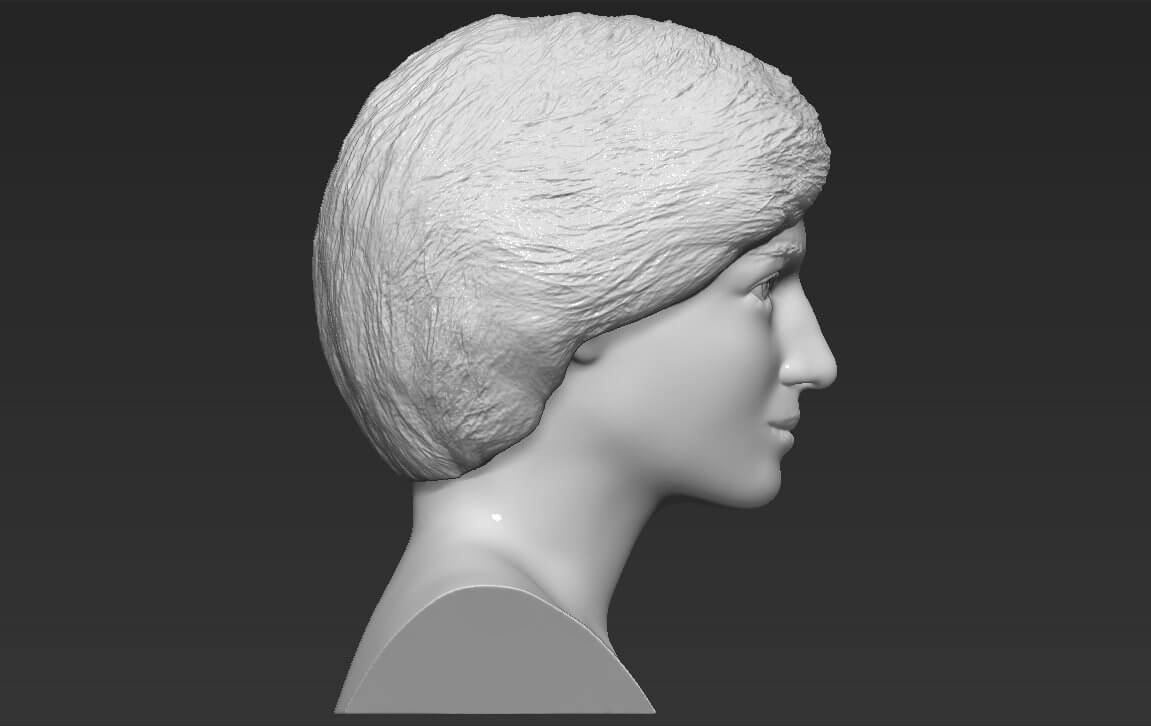 Princess Diana Bust - 3D Model by PrintedReality