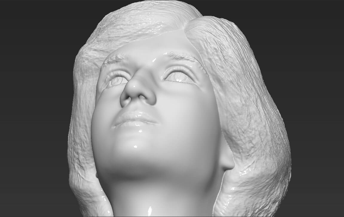 Princess Diana Bust - 3D Model by PrintedReality