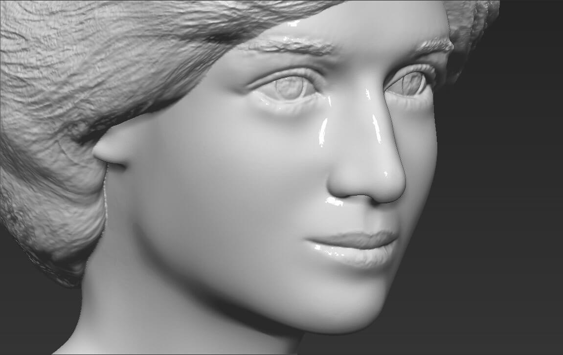 Princess Diana Bust - 3D Model by PrintedReality