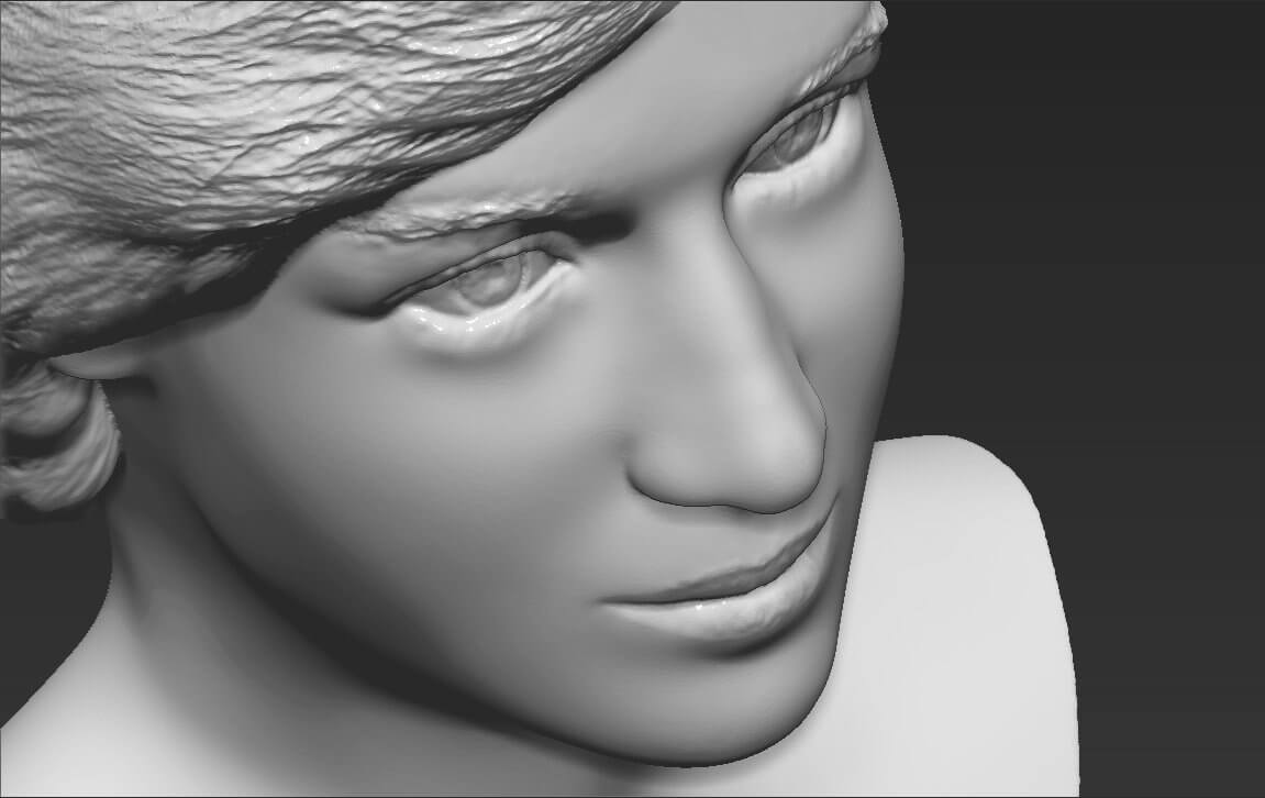 Princess Diana Bust - 3D Model by PrintedReality