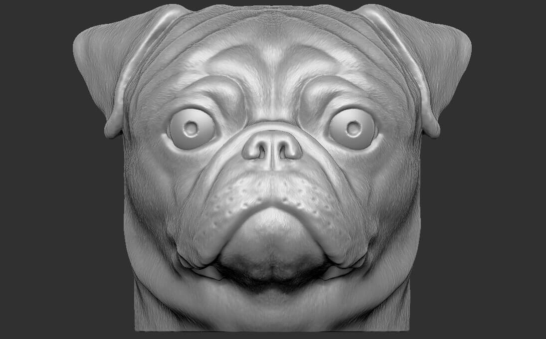 Pug Head - Print Ready 3D Model by PrintedReality