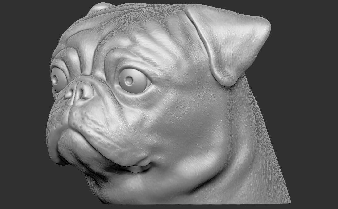 Pug Head - 3D Model by PrintedReality
