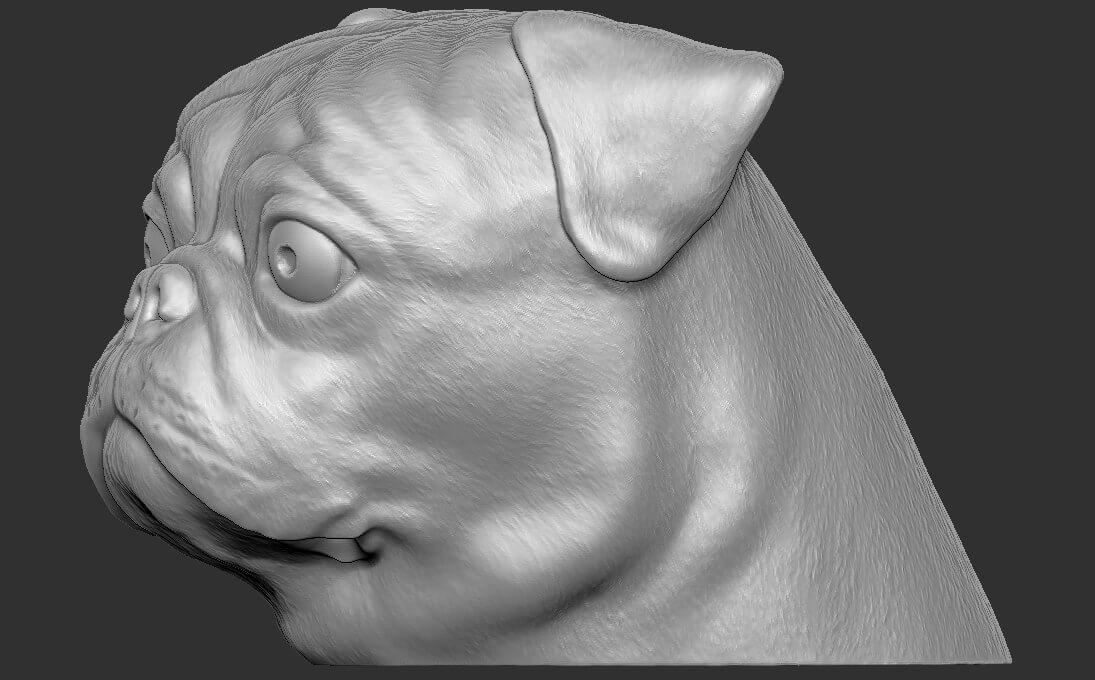 Pug Head - 3D Model by PrintedReality