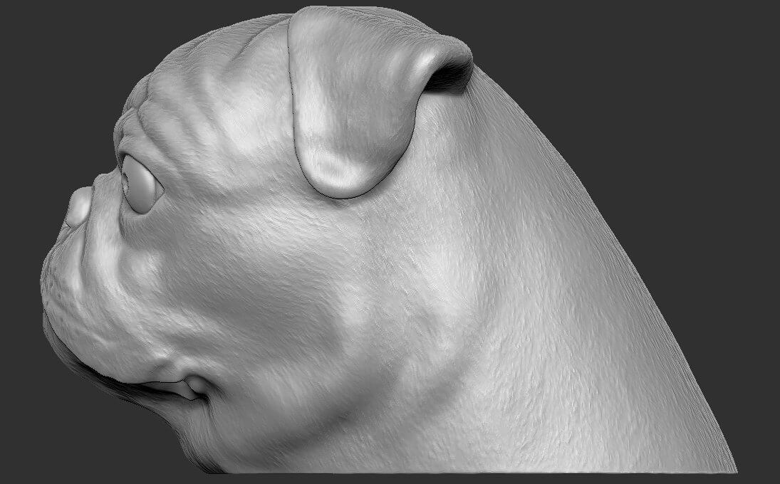 Pug Head - 3D Model by PrintedReality