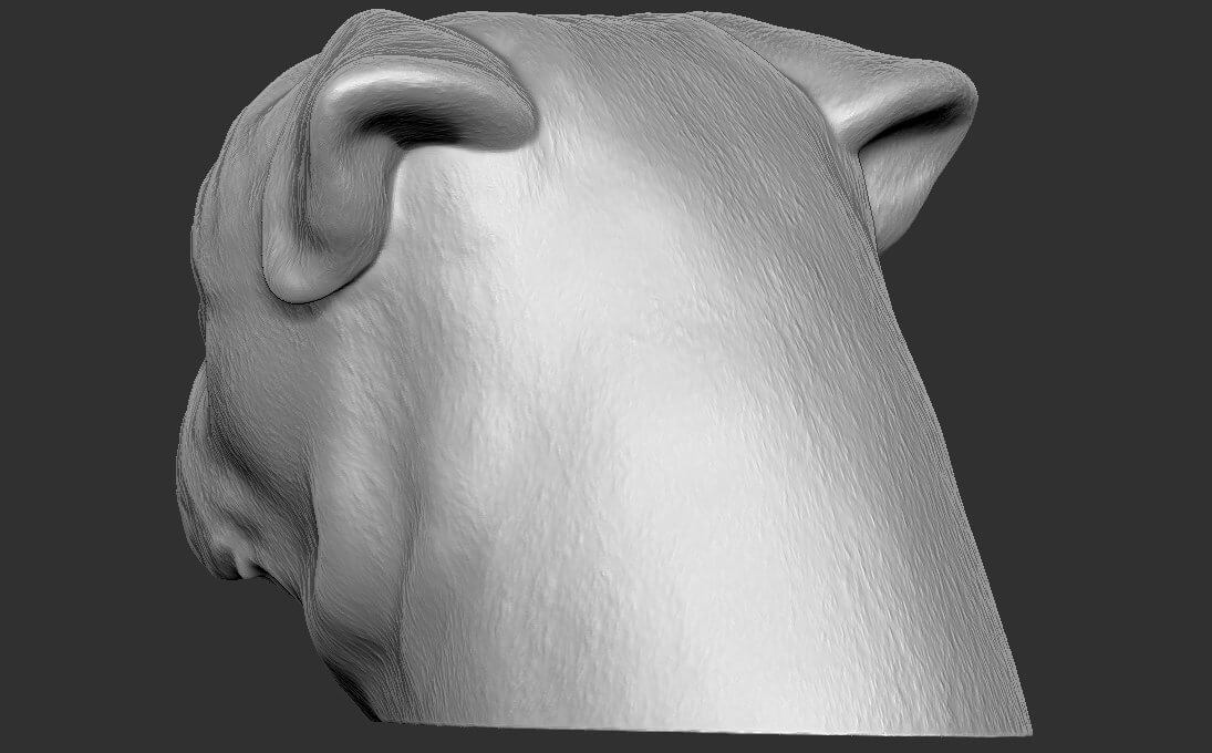 Pug Head - 3D Model by PrintedReality