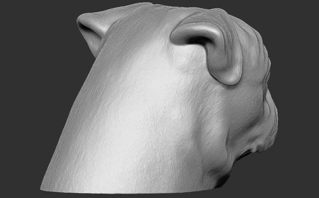 Pug Head - 3D Model by PrintedReality