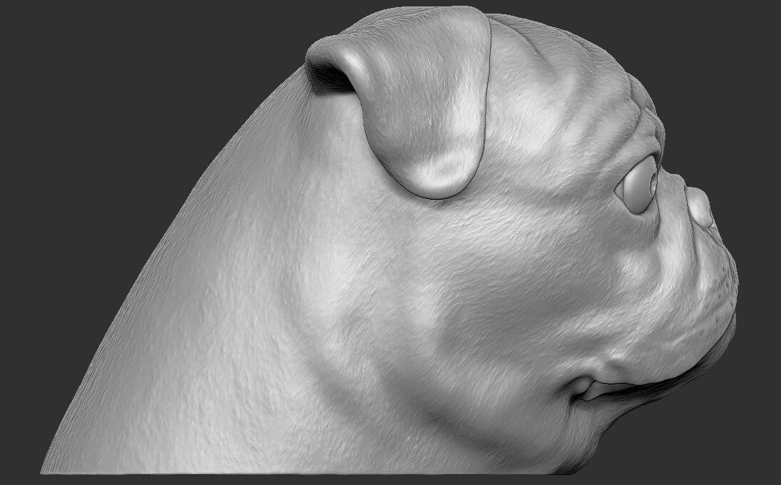 Pug Head - 3D Model by PrintedReality