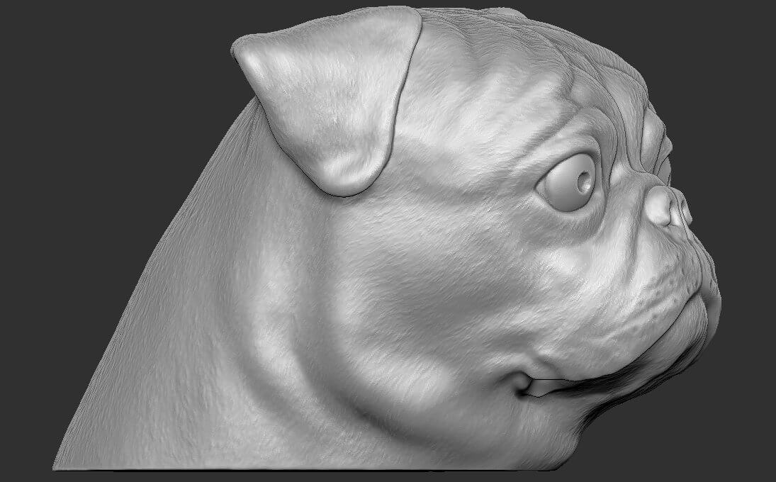 Pug Head - 3D Model by PrintedReality