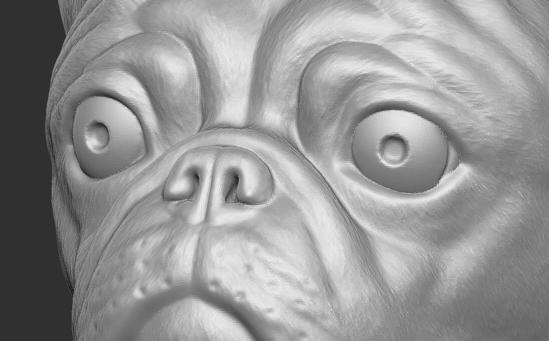 Pug Head - 3D Print Model by PrintedReality