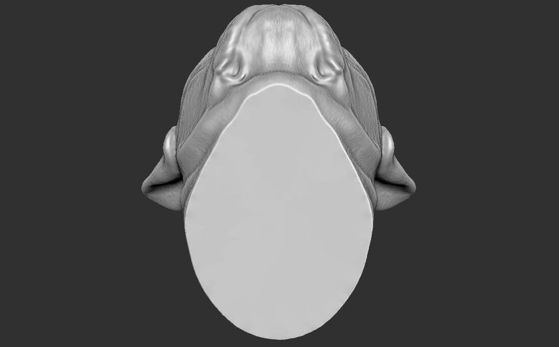 Pug Head - 3D Model by PrintedReality