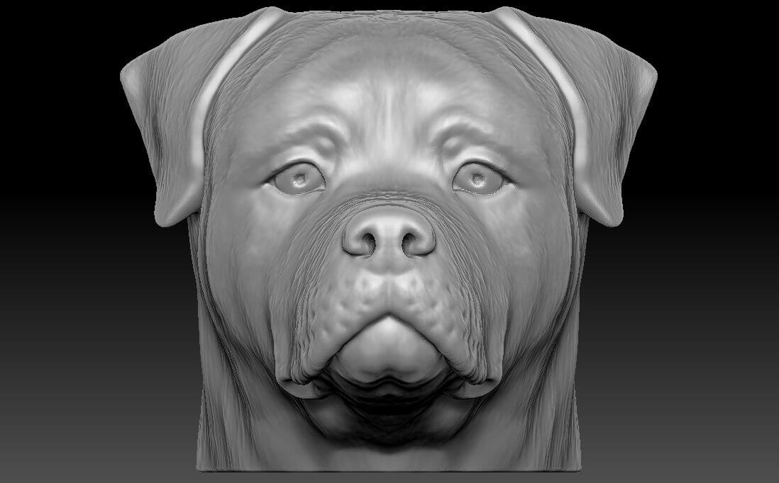 Rottweiler Head - 3D Print Model by PrintedReality