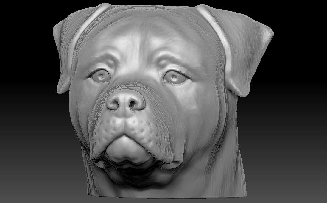Rottweiler Head - 3D Model by PrintedReality