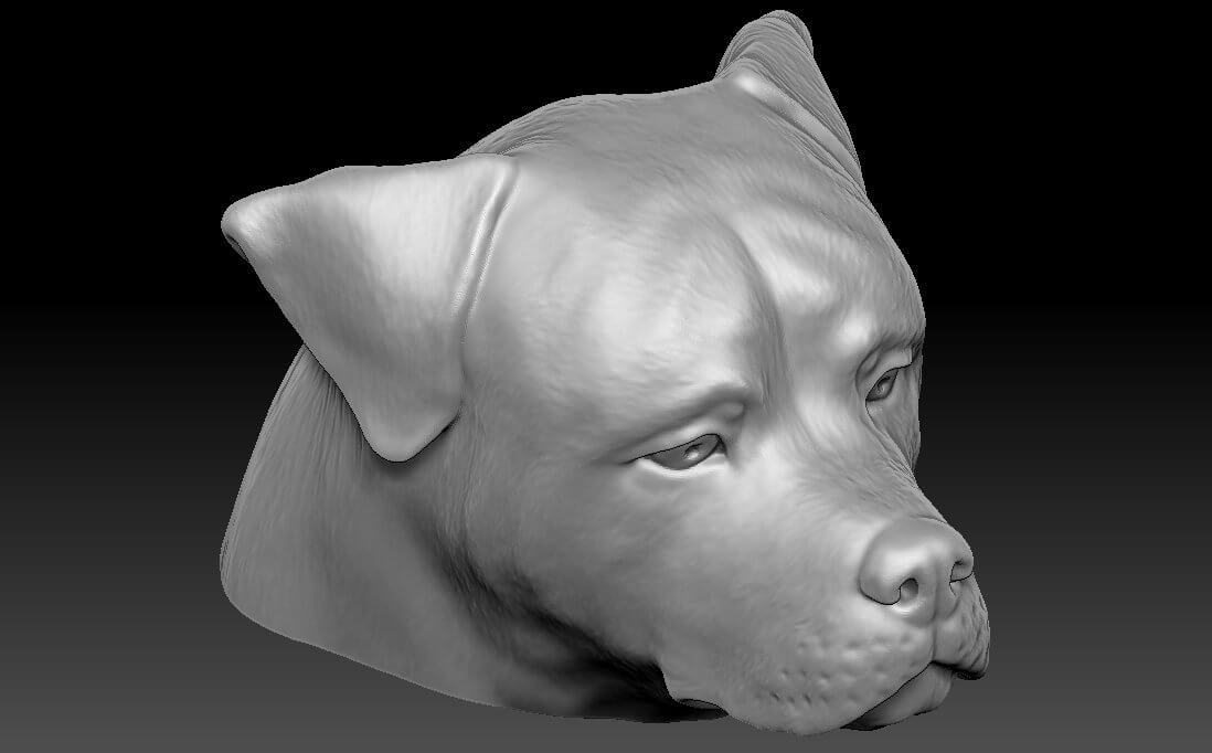 Rottweiler Head - 3D Model by PrintedReality
