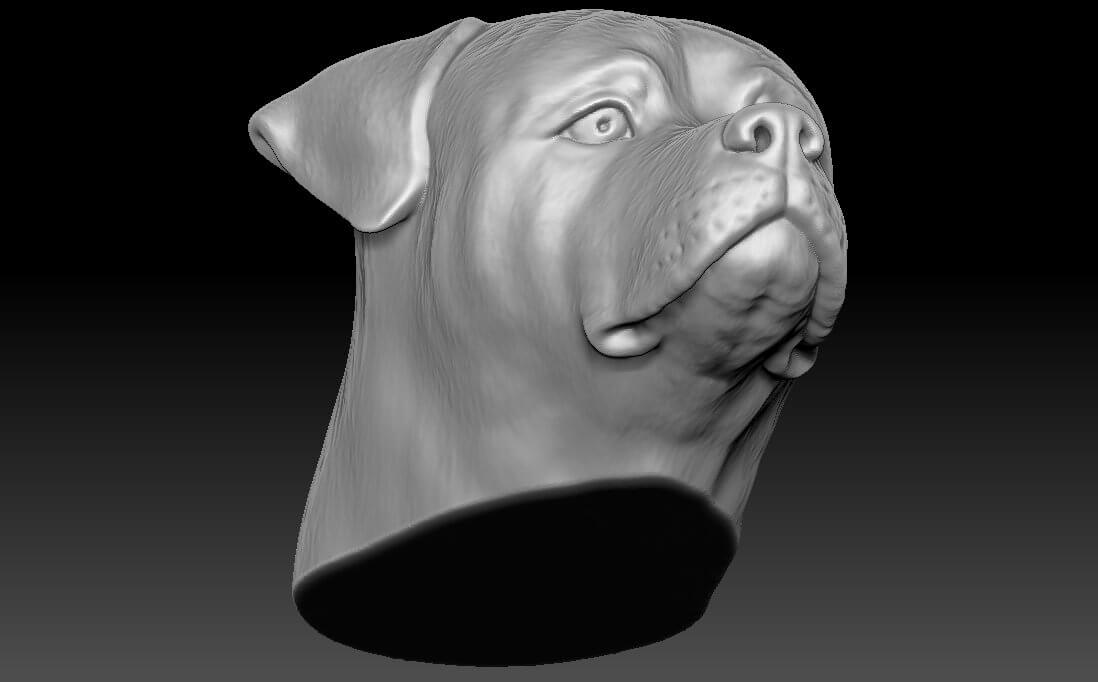 Rottweiler Head - 3D Model by PrintedReality
