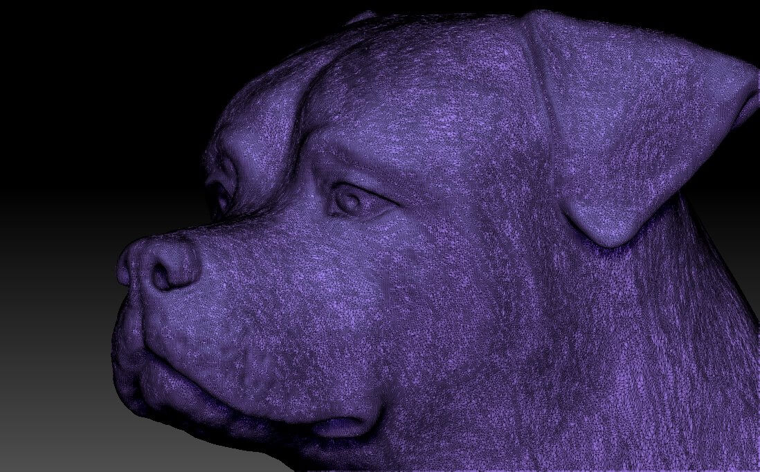 Rottweiler Head - 3D Model by PrintedReality